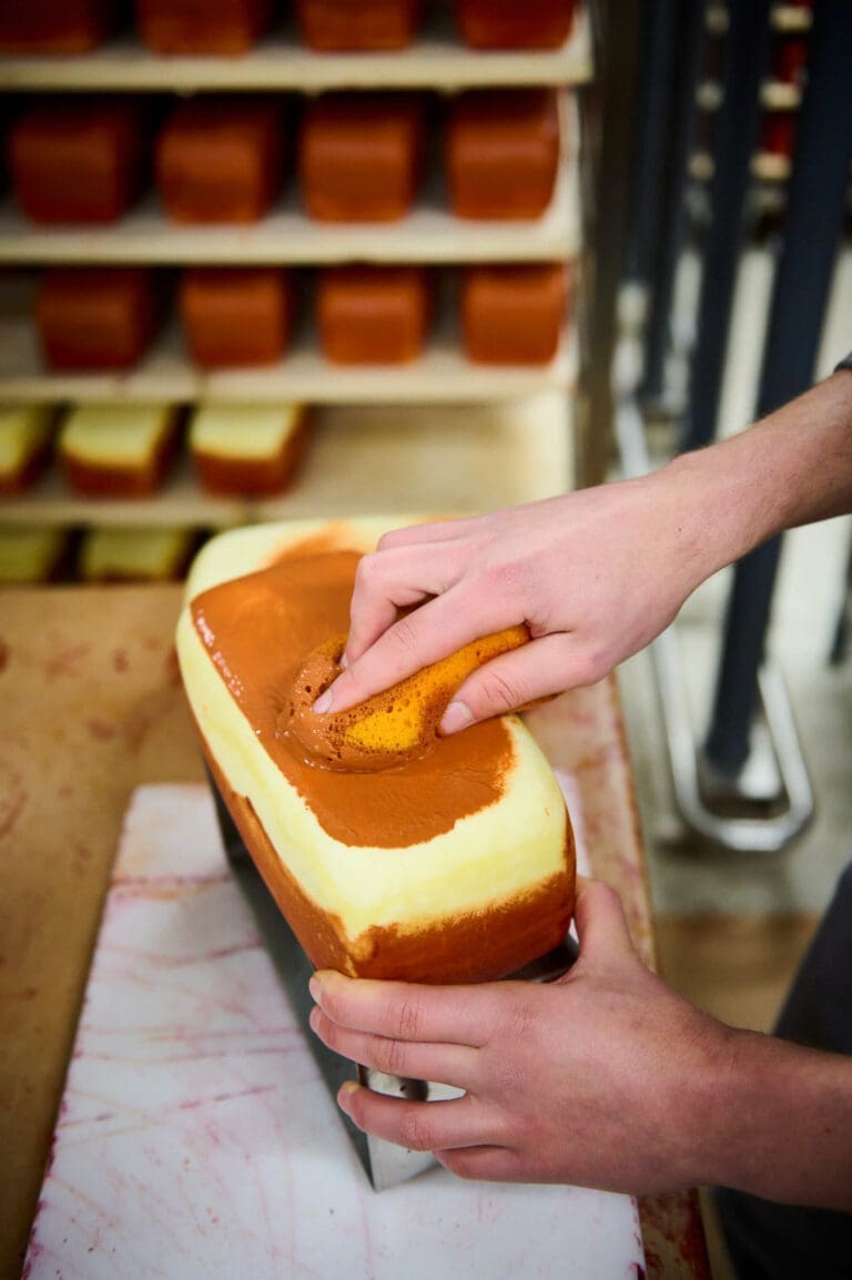 Trappist Westmalle | Trappist cheese - Trappist Westmalle